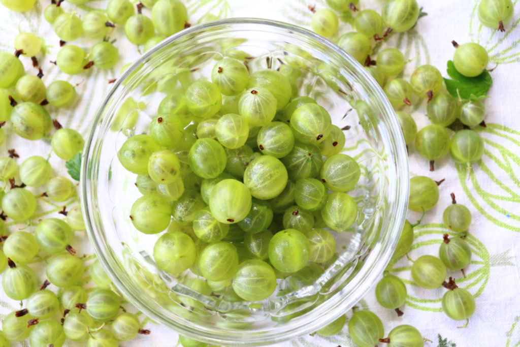 Baked gooseberry caramel pudding: I thought I didn't like gooseberries ...