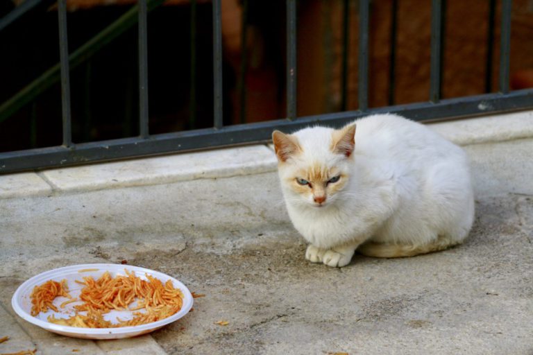 Sicily, part I: Noto town and market - Crumbs on the Table